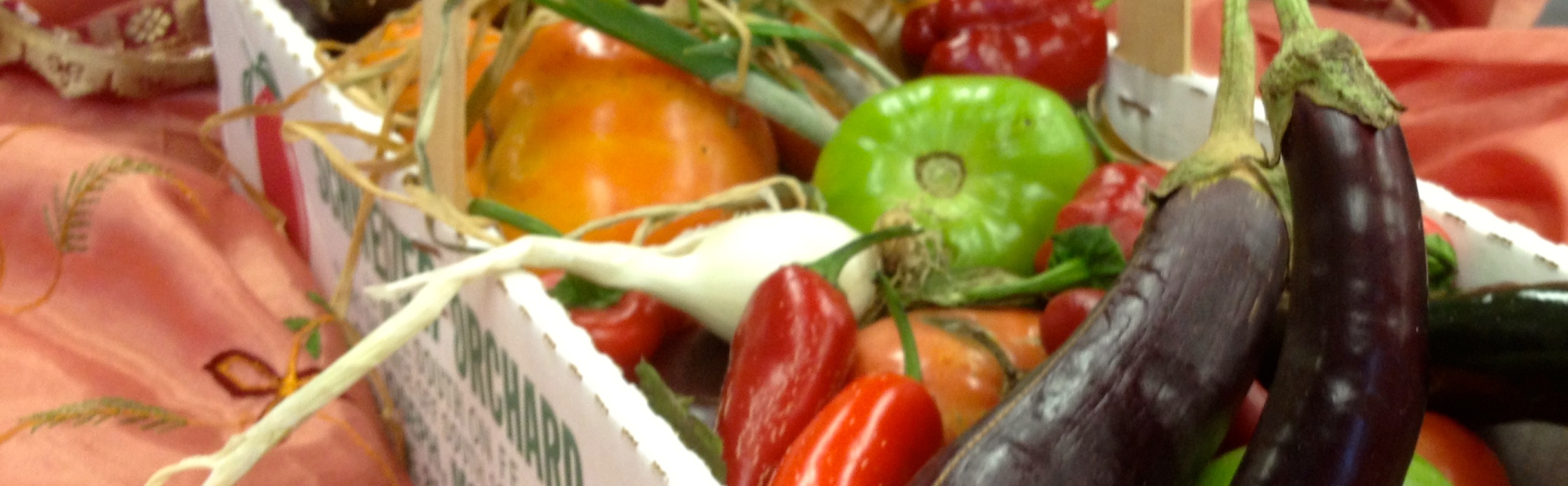 Lessons for Harvest Time - Next Step Adventure